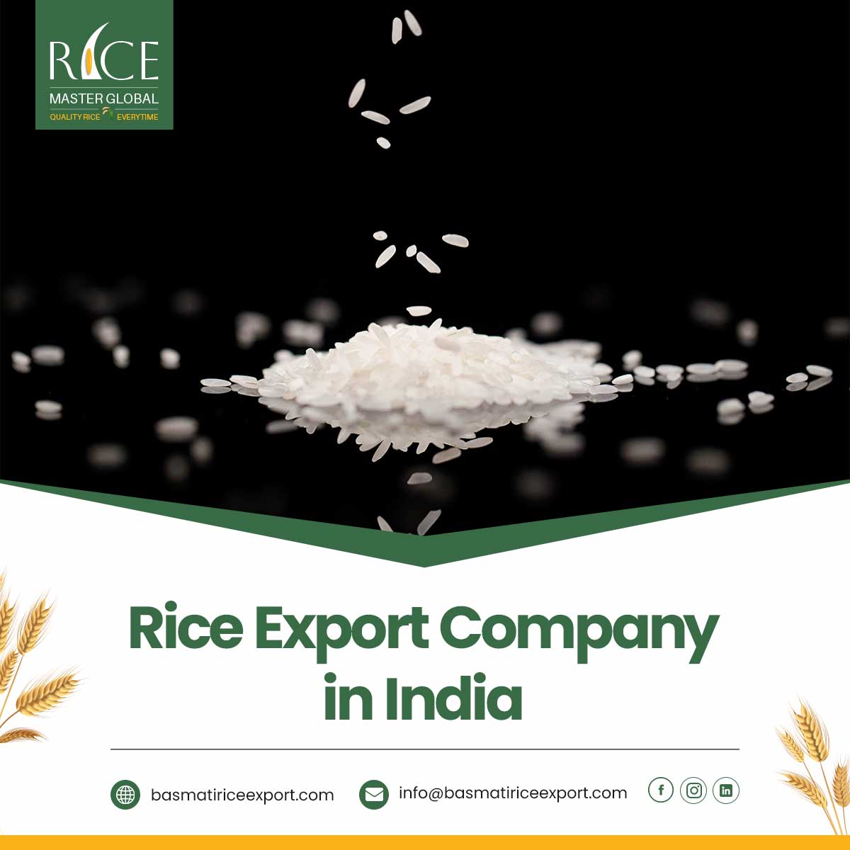 Basmati Rice Manufacturers in India | Rice Master Global