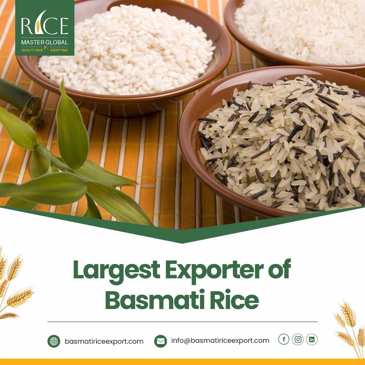 Basmati Rice Manufacturers in India | Rice Master Global