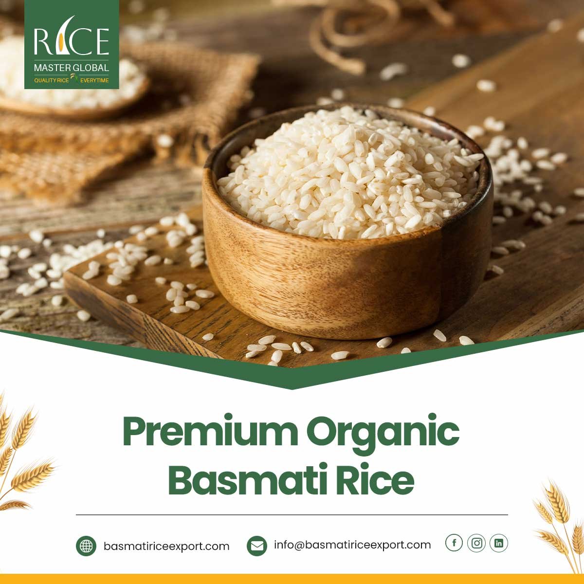 Basmati Rice Manufacturers in India | Rice Master Global
