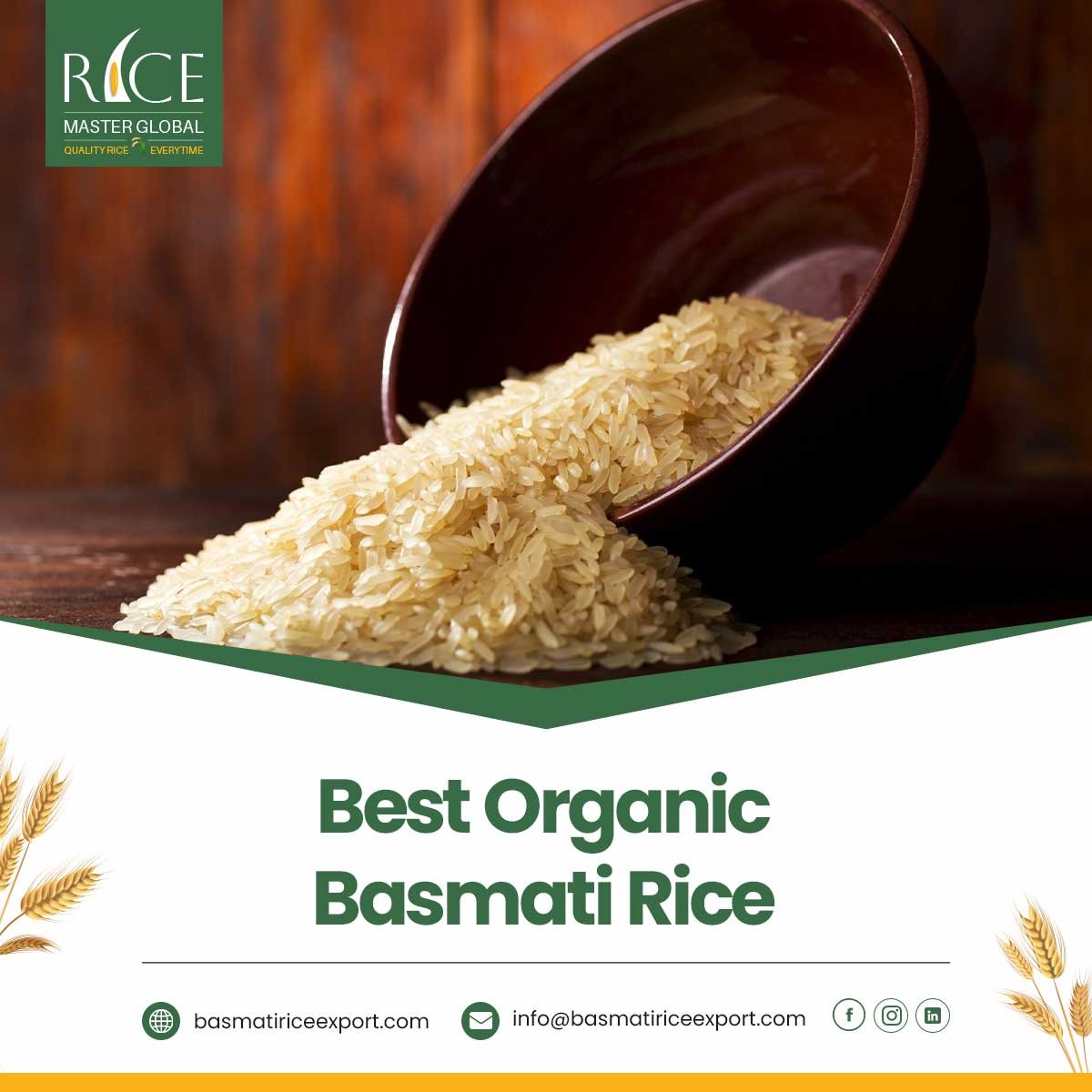 Basmati Rice Manufacturers in India | Rice Master Global